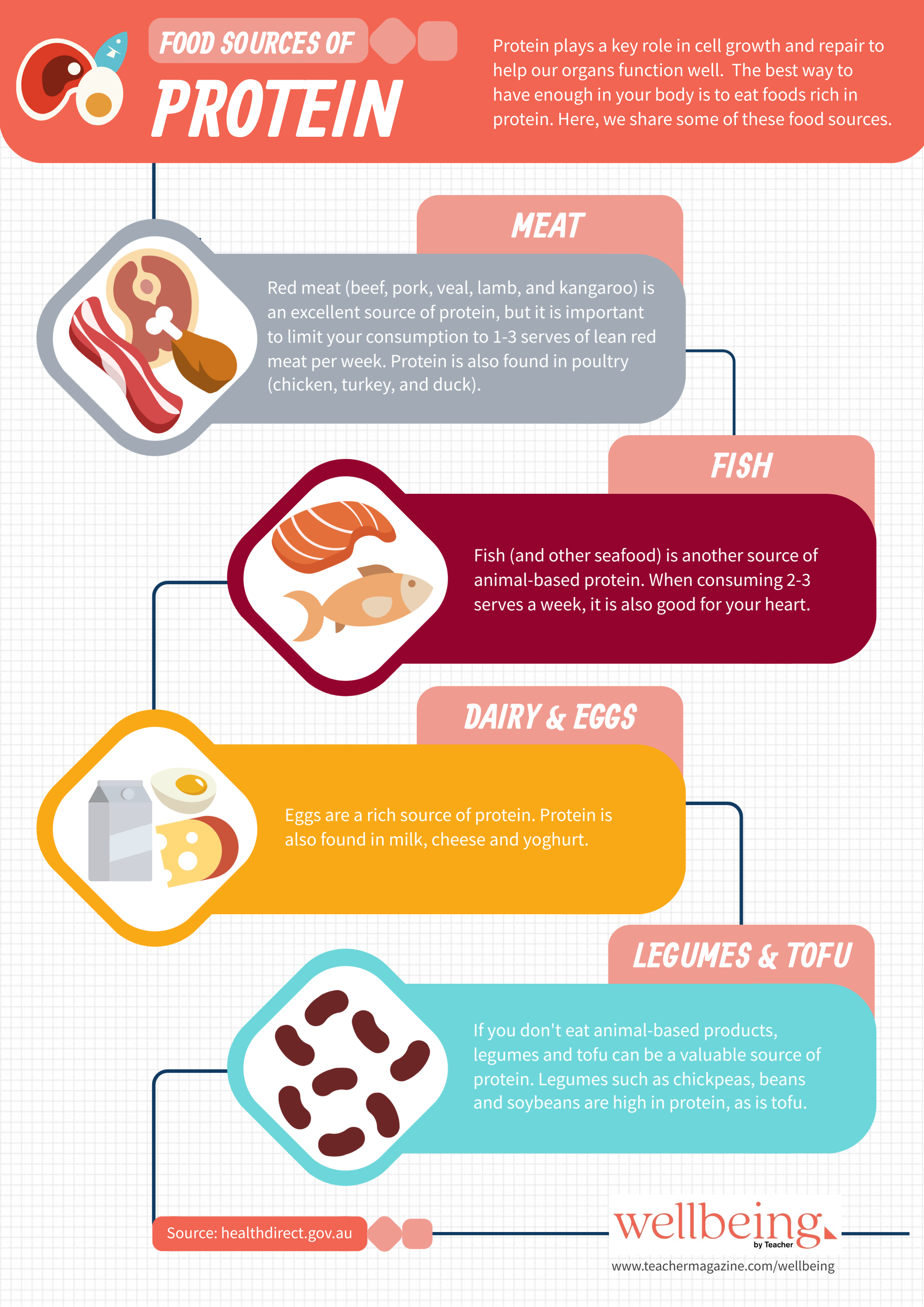 Protein Protein