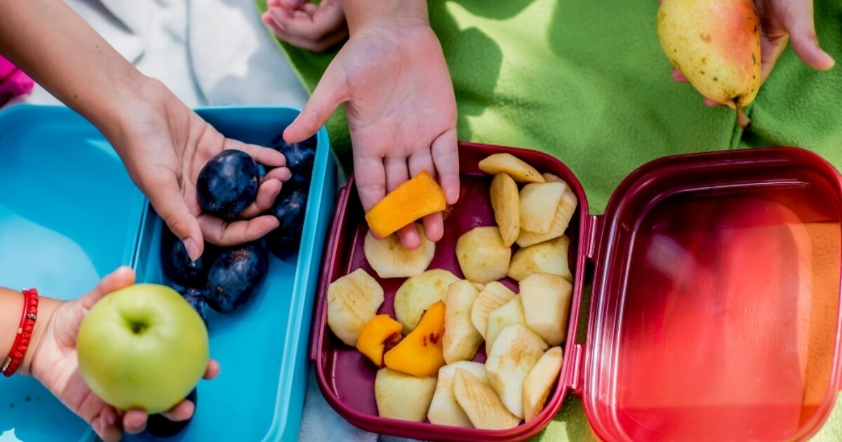 Integrating algorithm tasks into early years teaching - Teacher… Integrating algorithm tasks into early years teaching - Teacher…