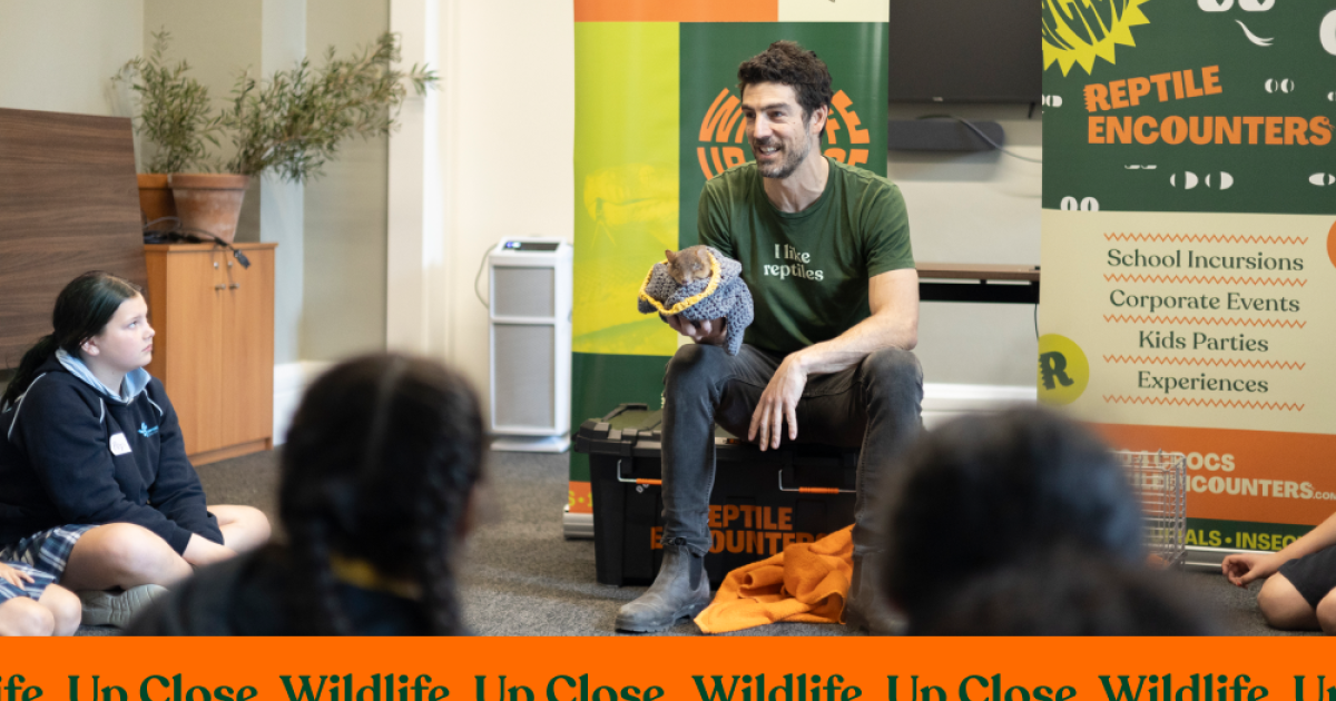 Bringing the wild to school: real lessons, real impact