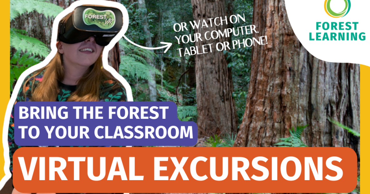 No bus? No worries! Explore Australia’s forests and wood processing…