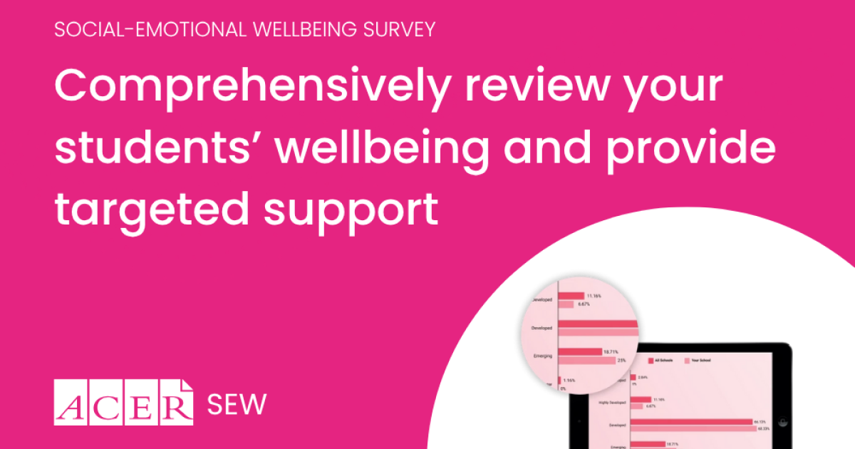 Inform targeted wellbeing support across the school