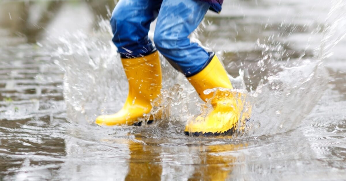 Student engagement with nature – the value of a puddle